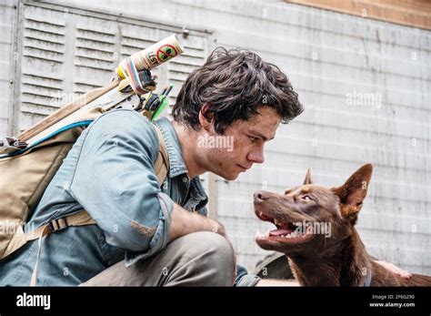 Love And Monsters Aka Love And Monsters Dylan Obrien 2020 Ph