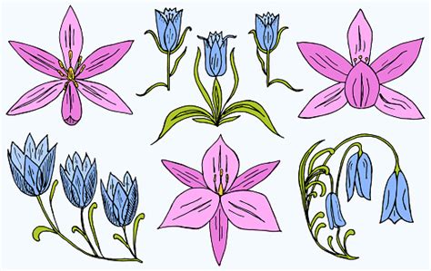 나뭇잎과 야생 꽃입니다 잎과 싹이 있는 결혼식 식물성 식물의 집합입니다 식물성 유기농 봄 허브 낙서 스케치에서 그려진 손으로 새겨진 카드와 라벨 책과 배너에 대 한