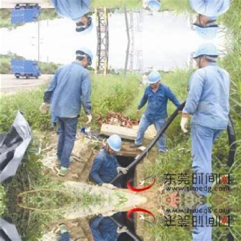 Evaluation Annotation Quality Object Detection Dataset By Phazero