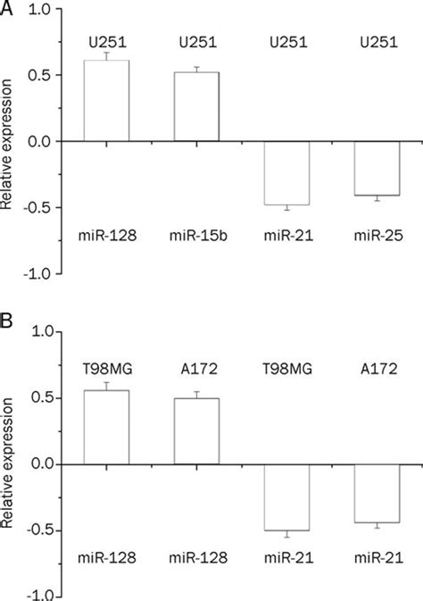 Validation Of Mirna Expression By Quantitative Real Time Pcr A The