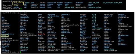 Linux系统中环境变量与配置文件:详细介绍与作用解析 Linux命令大全手册 Linux系统中环境变量与配置文件:详细介绍与作用解析 Linux命令大全手册