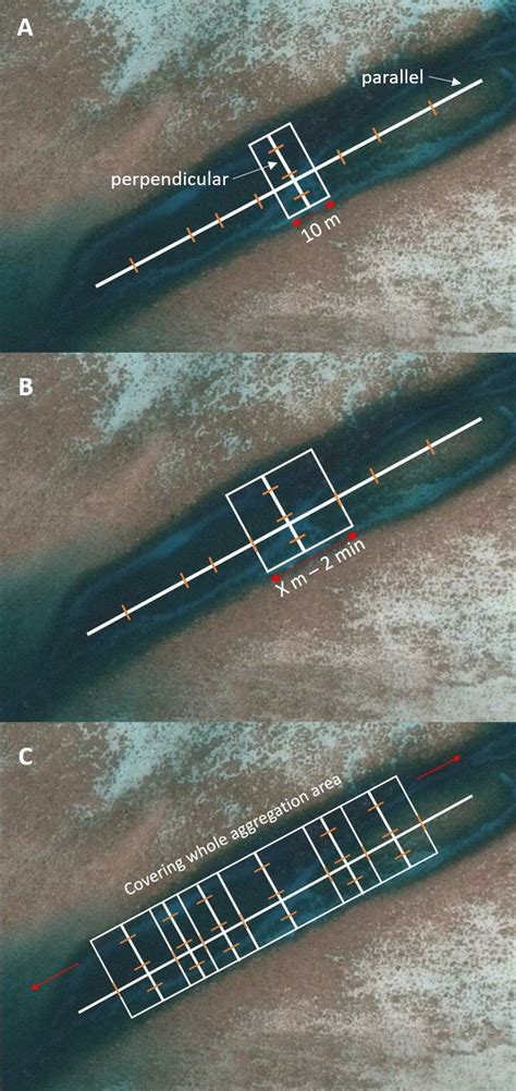 Graphical Representation Of Calculations For Grouper Aggregation Size