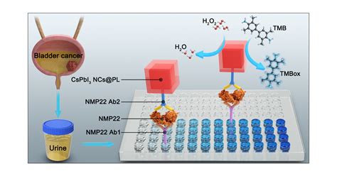 Iodide Enhanced Perovskite Nanozyme Based Colorimetric Platform For