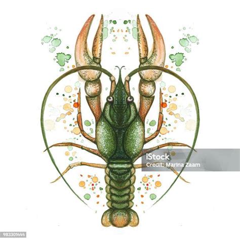 갑각류 암 랍스터 조디악 표지판 강 암 상세한 일러스트 레이 션 매크로 스프레이 녹색 수채화 그림 장식과 흰색 바탕에 디자인에 대 한 옷에 인쇄 점성술 기호에 대한 스톡