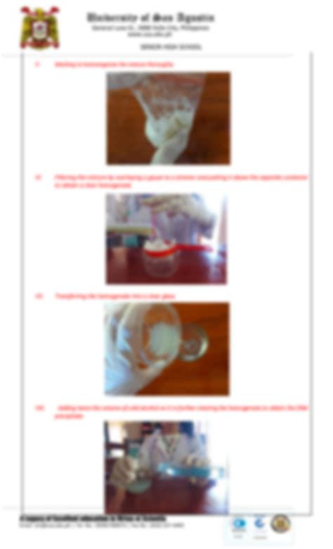 SOLUTION Biology Activity Dna Extraction Studypool