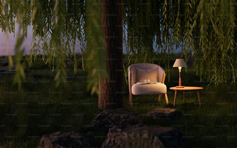 램프 옆 나무 아래에 앉아 있는 흰색 의자 사진 Unsplash의 책 이미지