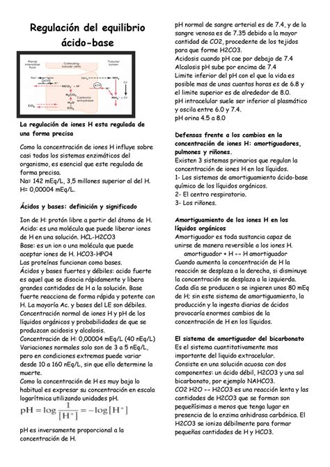 10 Regulación Del Equilibrio ácido Guyton Fisiologia Regulación Del