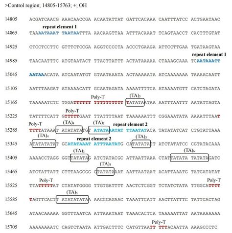 Structure Of The Control Region Of The Mitochondrial Genome Of Tetanops