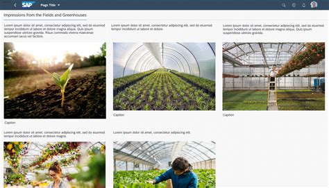 Image SAP Fiori For Web Design Guidelines