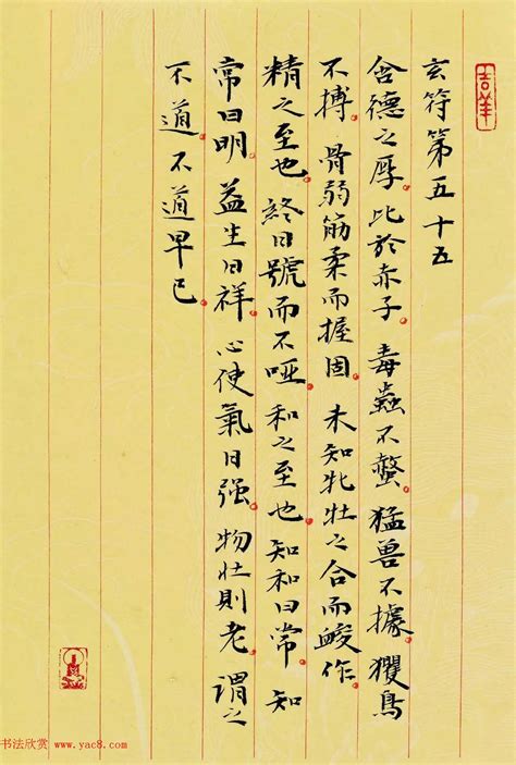精心手抄典籍九名家书道德经 第13页 书法图书书法欣赏