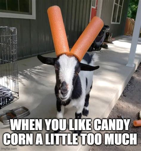 Goat Simulator Meme