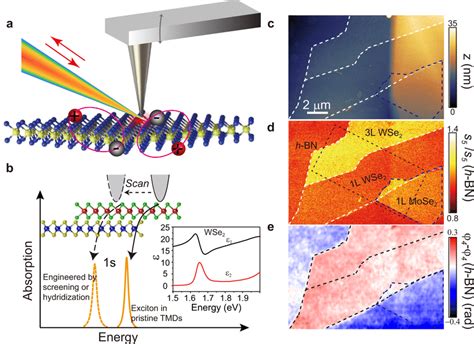 Near Field Nano Probing Of Excitons In Atomically Thin Transition Metal