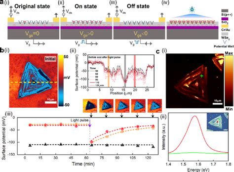 Working Mechanism And Related Characterizations A Schematic Of The Download Scientific