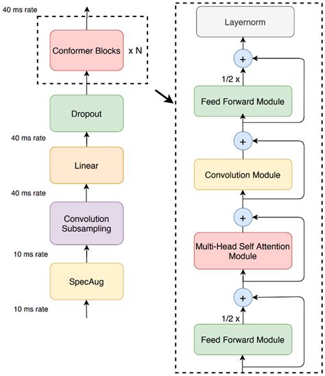 Conformer Based Human Activity Recognition Using Inertial Measurement Units