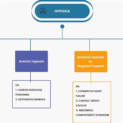 Classification Of Hypoxia Download Scientific Diagram