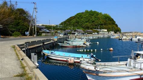 江泊漁港4月28日 たいや旅館おやじだより