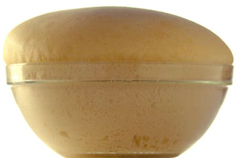 Unleavened Bread Formed In A Controlled Setting  On Imgur