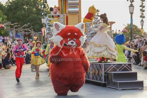 上海迪士尼迎来新朋友 小熊猫美美亮相 人民图片网