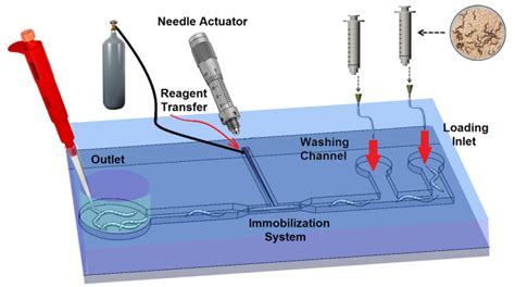 Needle Puller Microinjection At Loren Griffith Blog