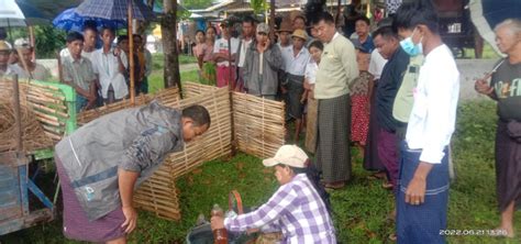 ရွှေတောင်မြို့နယ်တွင် စိုက်ပျိုးရေး၊ မွေးမြူရေးနှင့်ကုန်ထုတ်လုပ်မှုဖွံ့ဖြိုးတိုးတက်ရေး တောင