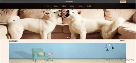 Nodejs微信小程序＋python＋php的流浪宠物网站 计算机毕业设计推荐nodejs开发微信小程序 Csdn博客