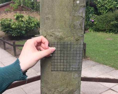 A Level Biology Required Practical 12 “an Investigation Into