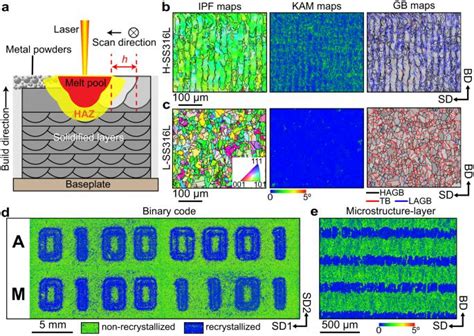 Alfa Chemistry Testing Lab On Linkedin Additive Manufacturing Of Alloys With Programmable
