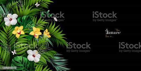 열 대 야자수 몬스 테라 잎 Hibiscuses와 난초 꽃 검은 배경에 휴일 배너 화이트와 골드 텍스처 여름 포스터에 문자 0명에 대한 스톡 벡터 아트 및 기타 이미지