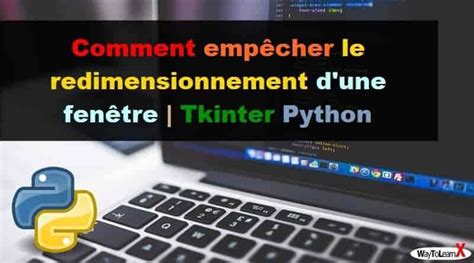 Comment Empêcher Le Redimensionnement Dune Fenêtre Tkinter Python
