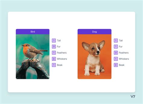 What Is Zero Shot Learning In Image Classification Examples