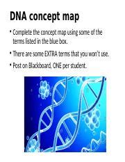 Understanding DNA Structure And Function A Comprehensive Course Hero