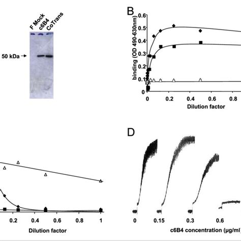 Figure2 Expression And Characterization Of Recombinant Chimeric Download Scientific Diagram