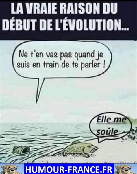 La Vraie Raison Du Début De Lévolution Humour Francefr