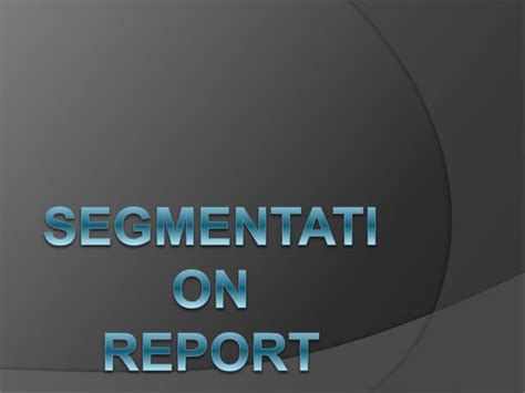 Segmentation Reportpptx