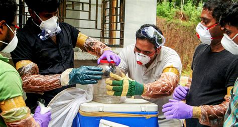 How Kerala Passed The Tough Nipah Test The Wire