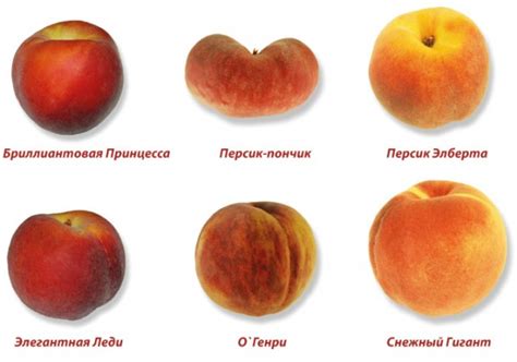 Пожскажите пожалуйста как называется фрукт похожий на персик