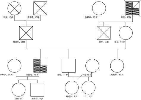 家系图模板