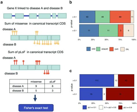 The Influence Of The Variant Type On The Observed Phenotype A A