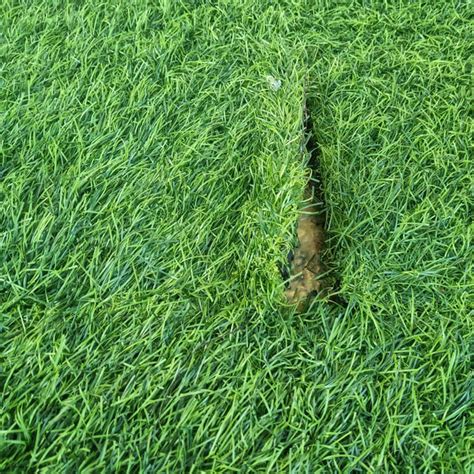 Patching Worn Areas On Artificial Grass Doleader