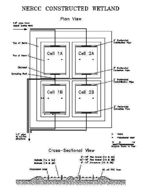 Schematic Of The Subsurface Flow Constructed Wetlands Download Scientific Diagram