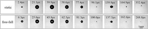 bubble dynamics for the static and free fall cases the time with