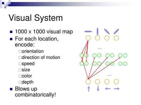Ppt Connectionist Model Of Word Recognition Rumelhart And Mcclelland Powerpoint Presentation