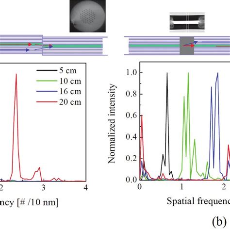 The Schematic Of A Fiber Sagnac Interferometer Download Scientific Diagram