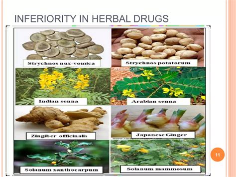 Adulteration Of Herbal Drugs Pptx