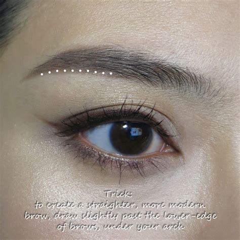 The Makeup Box My Daily Brow Routine