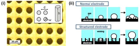 I Microscopy Image Of The Pillar Array Used In This Study With Download Scientific Diagram