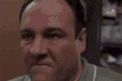 Tony Soprano  Tony Soprano Davey Discover And Share S