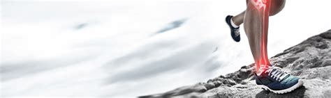관절 통증을 위한 해부학을 위해 다리에 부상을 입은 배너 러너 및 훈련 클로즈업 오버레이 및 모형 지형 건강 또는 도로에서 스포츠 피트니스 또는 운동하는 사람 건강 관리