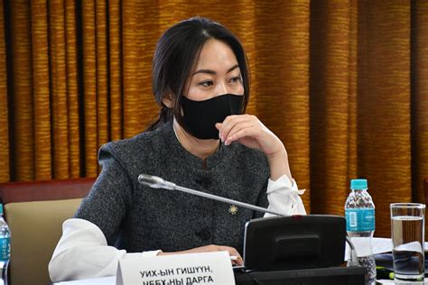 Жирэмсэн болон хөхүүл ээжүүдийг дэмжих цахим хэлэлцүүлэг боллоо