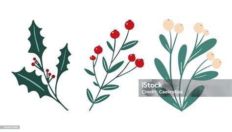 겨울 단풍 꽃 요소 세트 화이트 베리 겨우살이 홀리 베리 가지 축제 크리스마스 꽃 은 흰색 배경에 고립 된 간단한 손으로 그린 스타일로 예술을 클립 벡터 일러스트 컬렉션